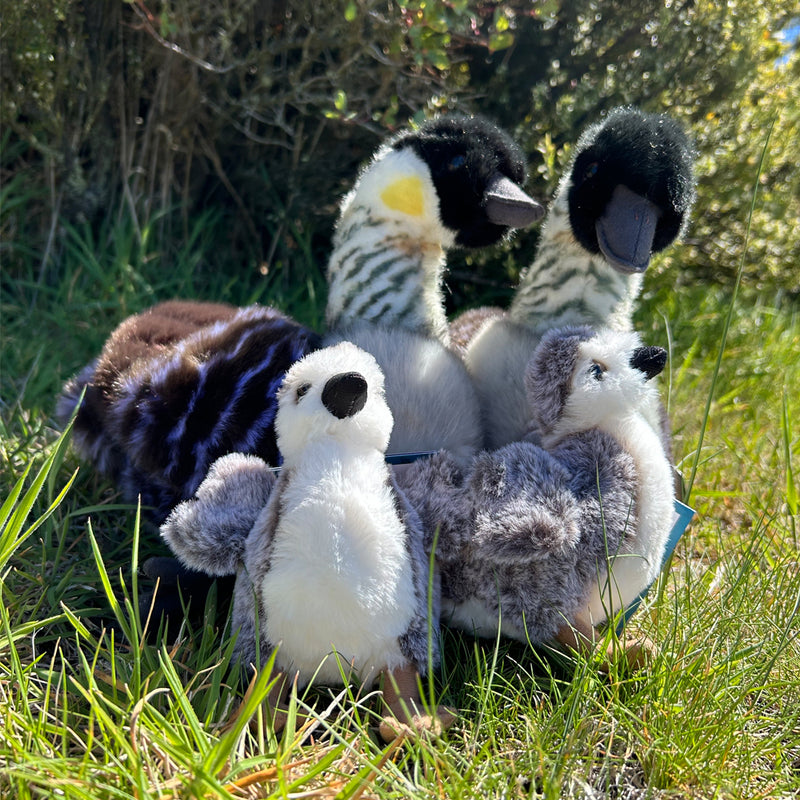 Plush: Makamae the Nēnē Gosling – Hawaii Pacific Parks Association