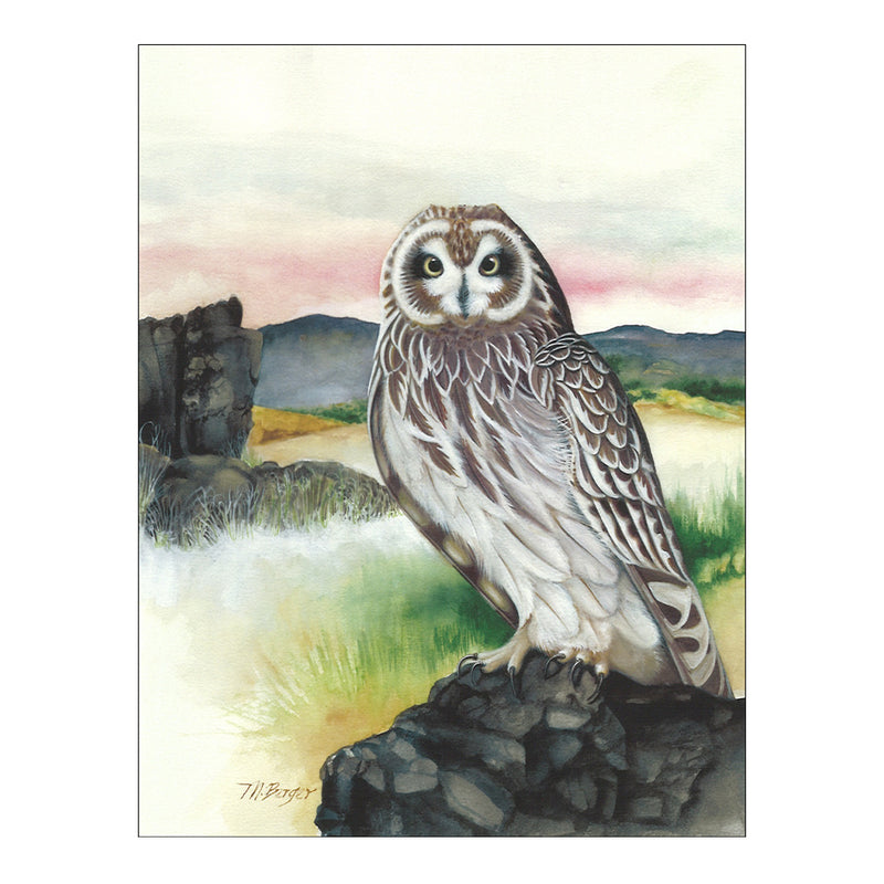Notecard: Pueo on Rock – Hawaii Pacific Parks Association